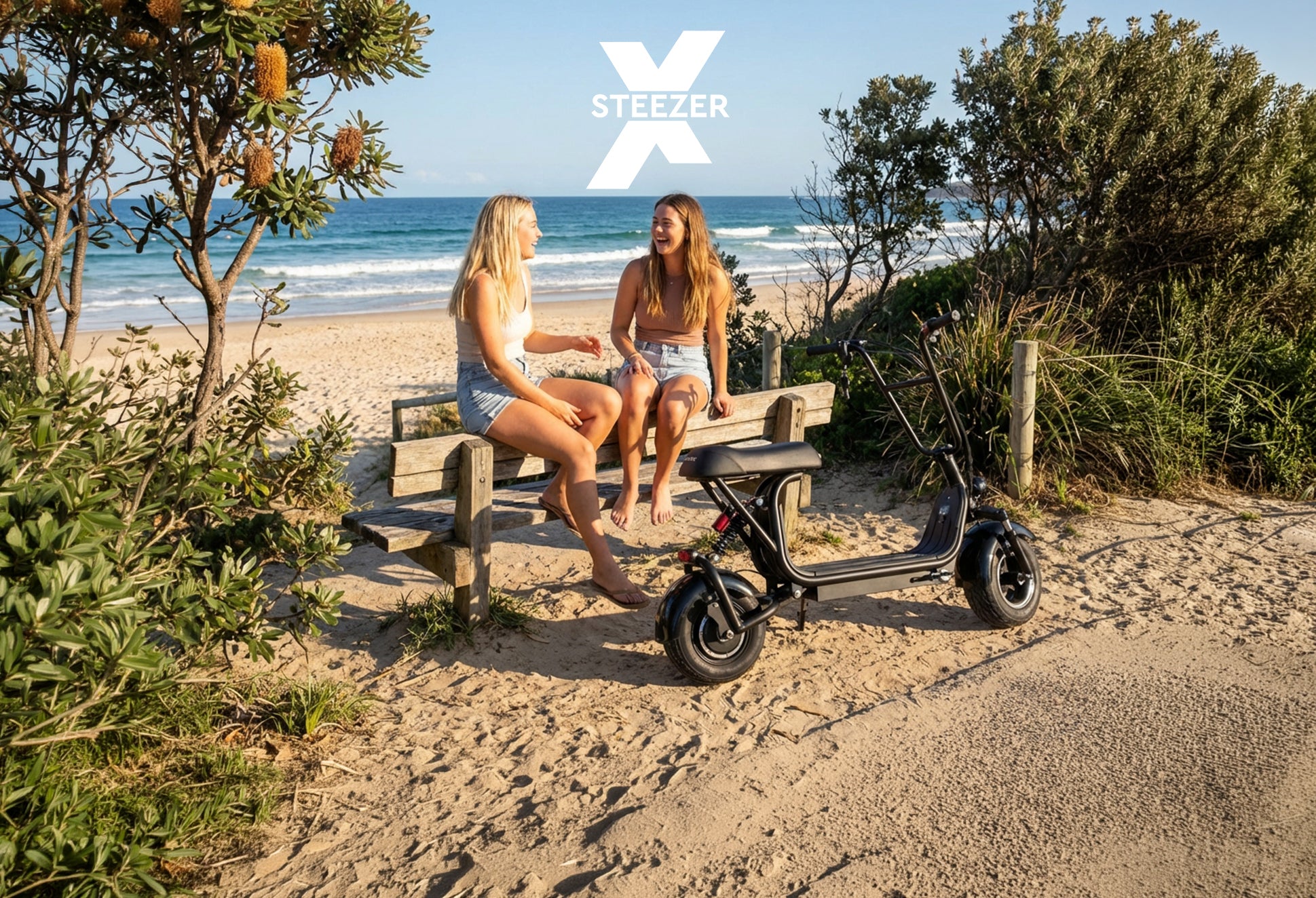 Electric Scooters & Accessories – Fiik