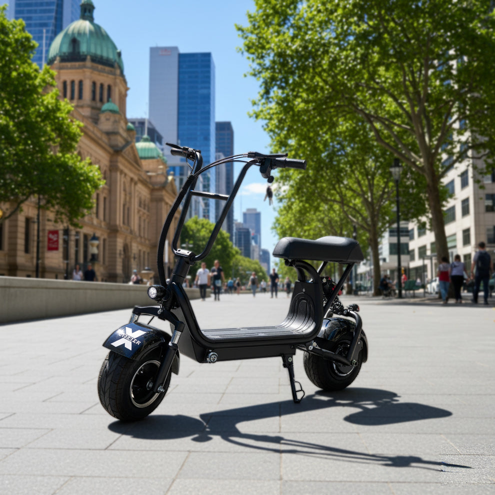 Steezer X Electric Scooter – Fiik